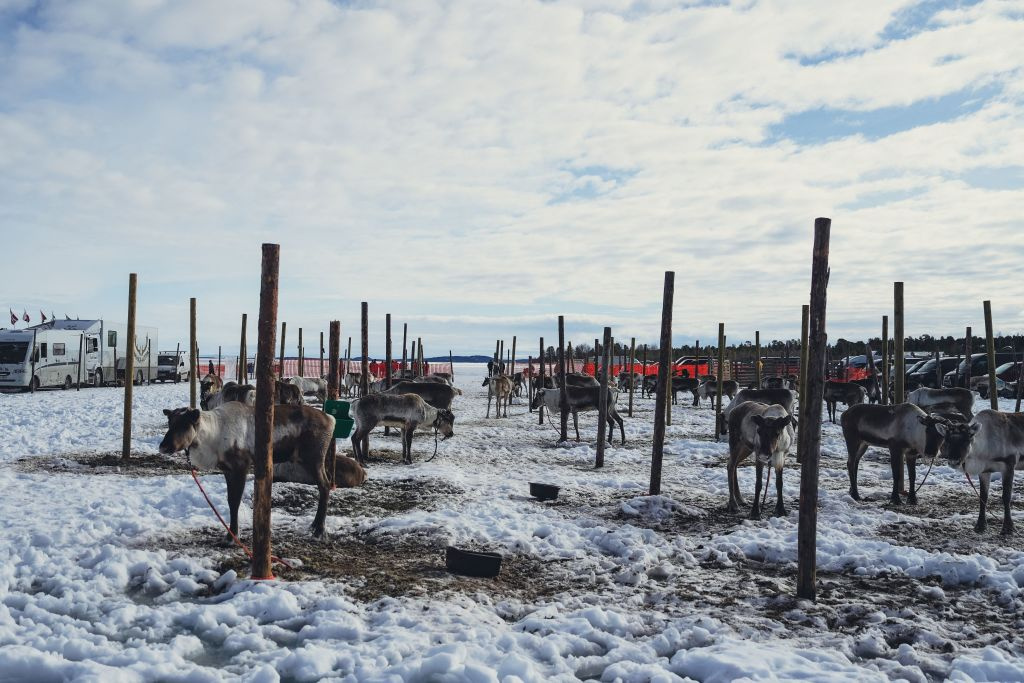 Finland Experiences Cold Summer